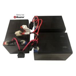 Battery for the Razor E100, E125, E150, & E175